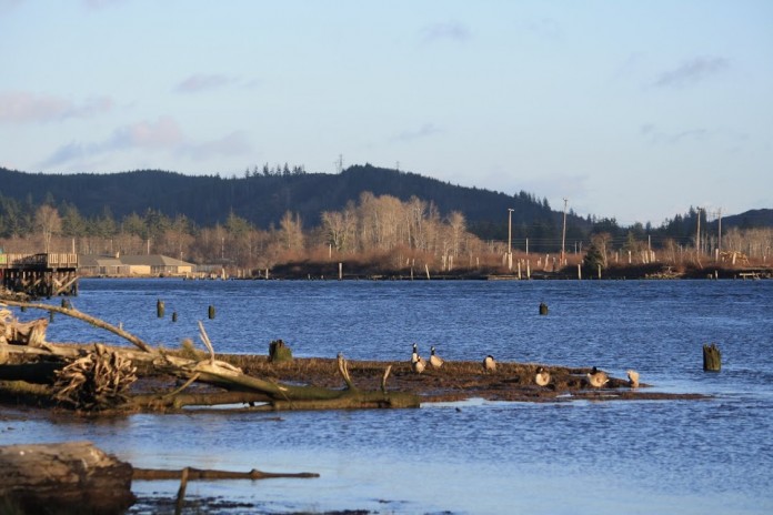 Opinion | Grays Harbor Oil Terminal – Tidal Exchange | News, Science ...